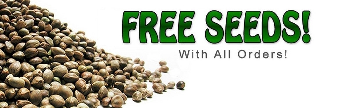 Quebec Cannabis Seeds | Canada Seed Bank | Made in Canada